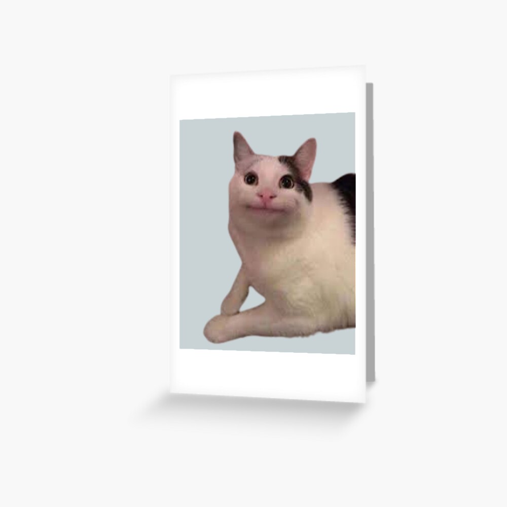 "Beluga cat" Sticker for Sale by S-S16 | Redbubble