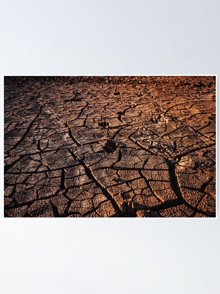 "Erosion Cracking Soil Design" Poster for Sale by sheyzishop | Redbubble