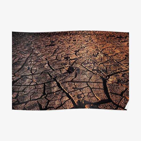 "Erosion Cracking Soil Design" Poster for Sale by sheyzishop | Redbubble