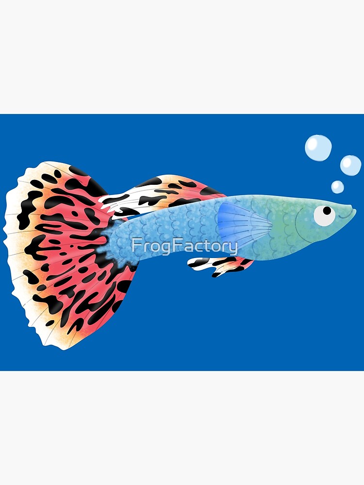 "Cute fancy guppy cartoon illustration" Poster by FrogFactory | Redbubble