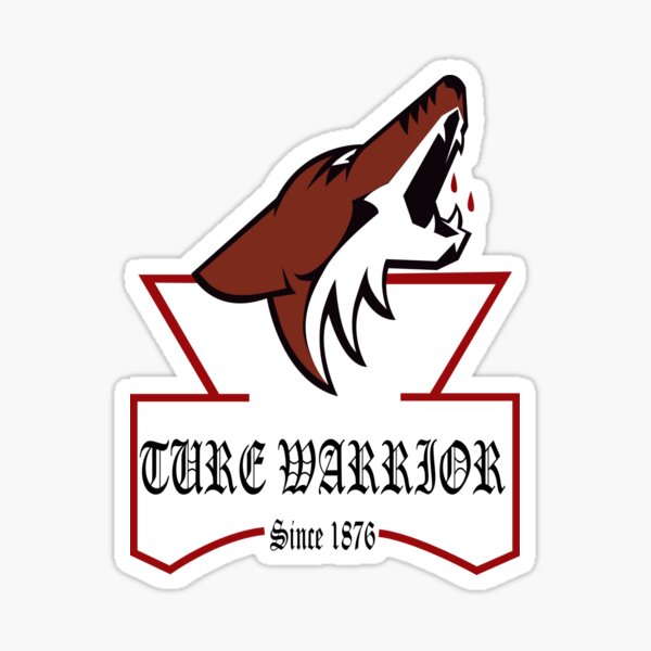 "True Warriors Design for my Redbubble Store" Sticker by Qasim125 ...