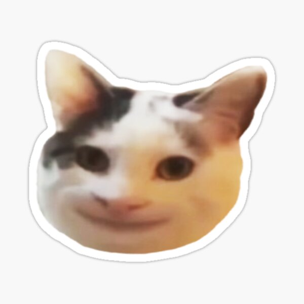 "cat meme" Sticker for Sale by tttatia | Redbubble