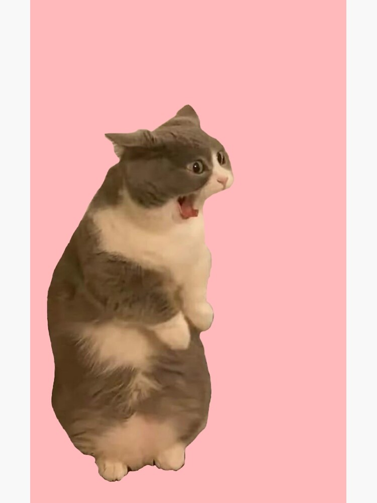 "cat meme" Art Print for Sale by tttatia | Redbubble
