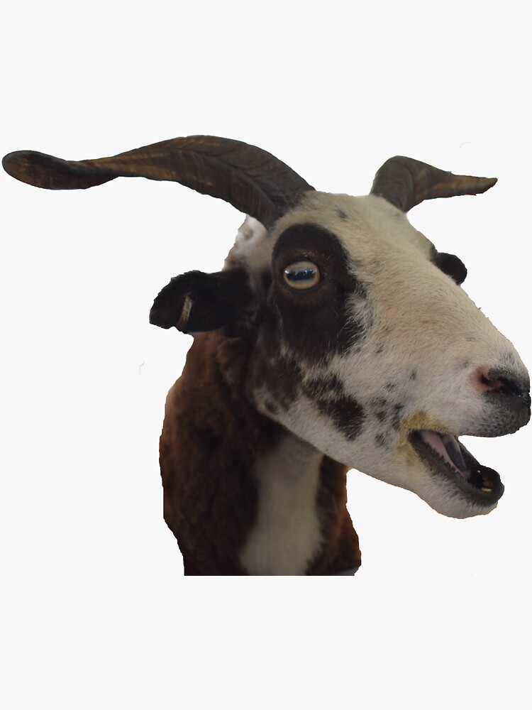 "Funny cute goat meme" Sticker for Sale by TrendyBrand19 | Redbubble