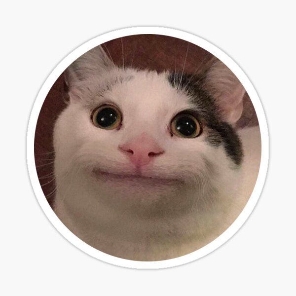 "Beluga discord #1" Sticker by RiFashionStop | Redbubble