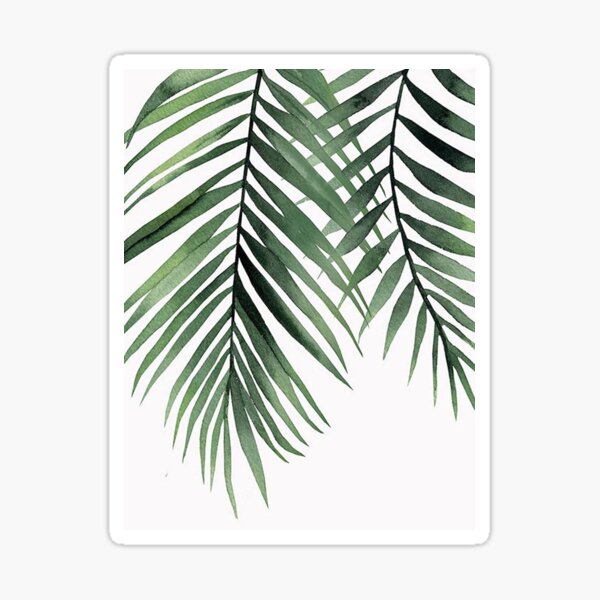 "palm leaves" Sticker for Sale by 2rose | Redbubble