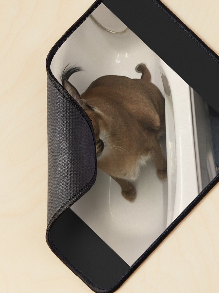 "Big Floppa in a Bathtub meme" Mouse Pad by momdadcats | Redbubble