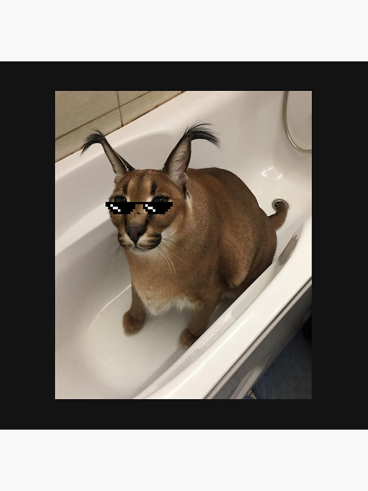 "Big Floppa in a Bathtub meme" Throw Pillow by momdadcats | Redbubble