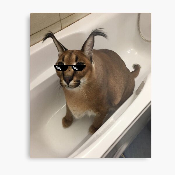 "Big Floppa in a Bathtub meme" Metal Print for Sale by momdadcats ...