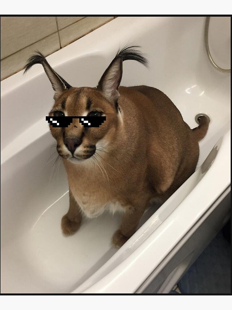 "Big Floppa in a Bathtub meme" Mounted Print for Sale by momdadcats ...