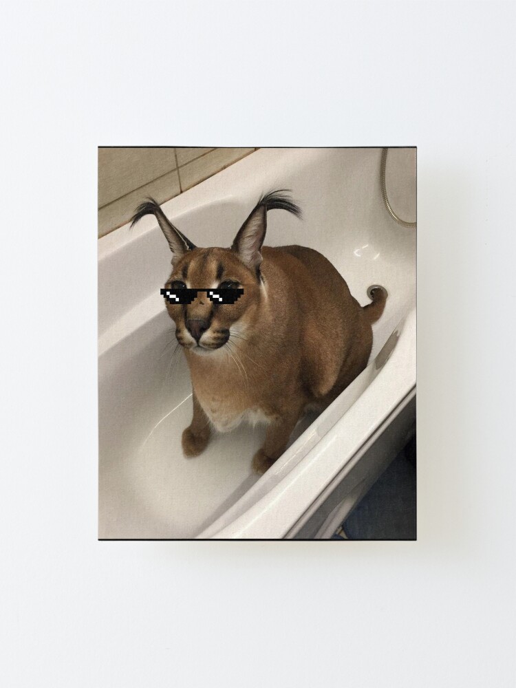 "Big Floppa in a Bathtub meme" Mounted Print for Sale by momdadcats ...
