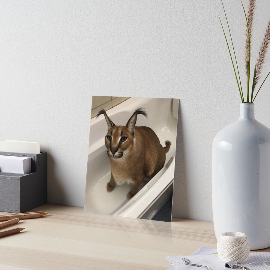 "Big Floppa in a Bathtub" Art Board Print by momdadcats | Redbubble