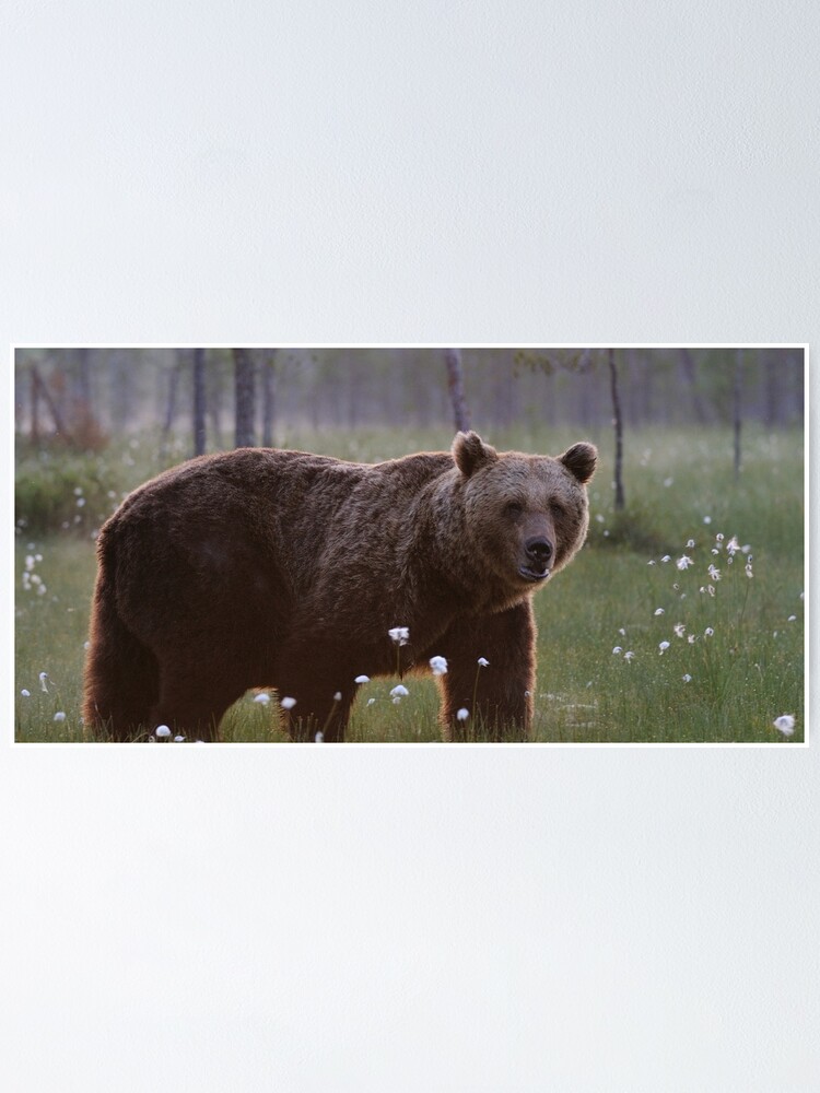 " panoramic,panoramic wall art, panoramic canvas prints widescreen ...