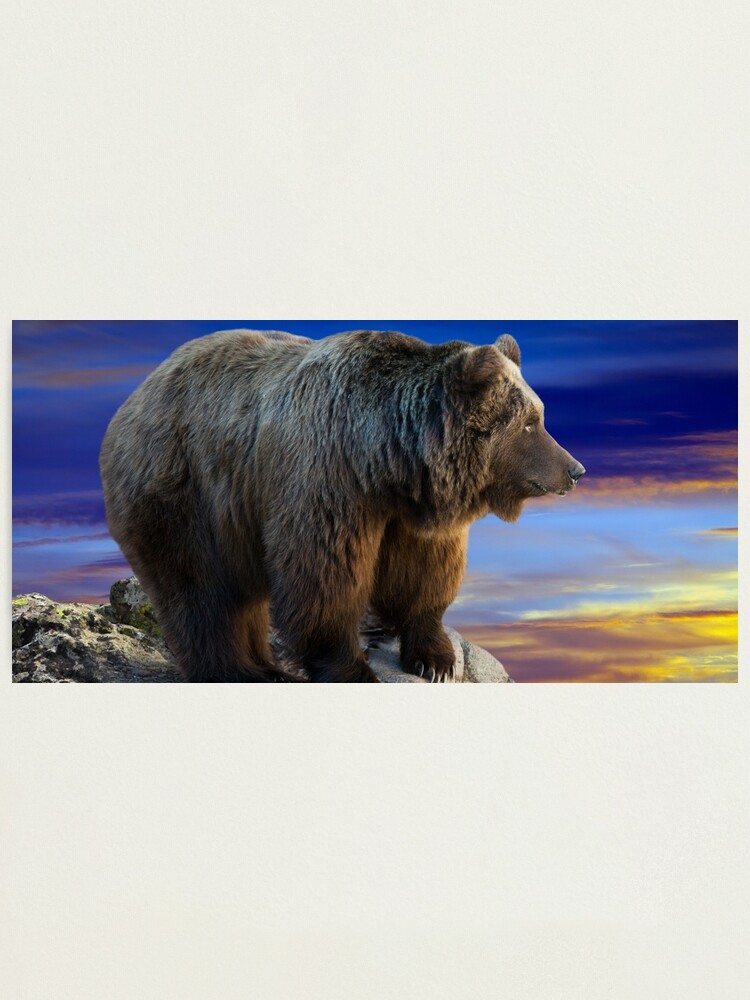" panoramic,panoramic wall art, panoramic canvas prints widescreen ...