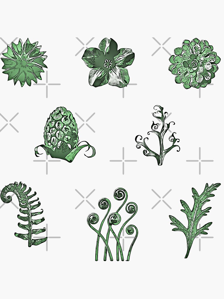 "Flora Photography Sticker Set 2" Sticker by indiecameo | Redbubble