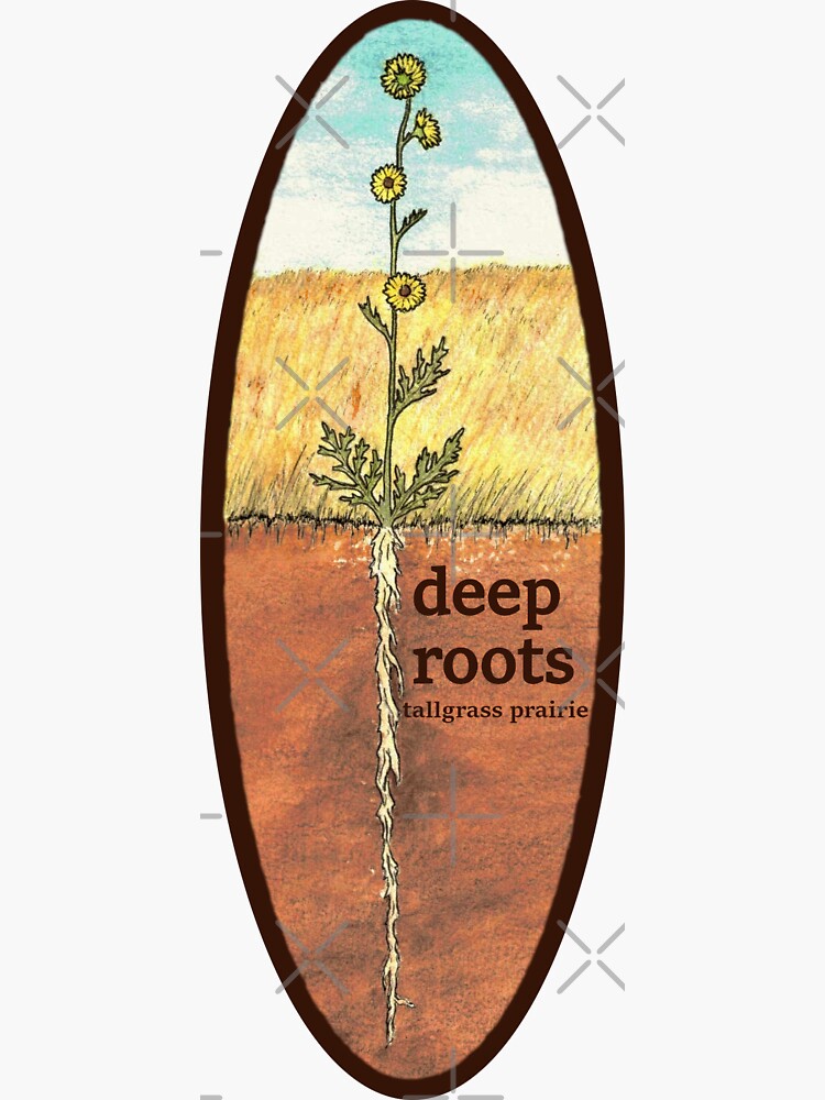 "Deep Roots Tallgrass Prairie Wildflower Cross-Section" Sticker for ...