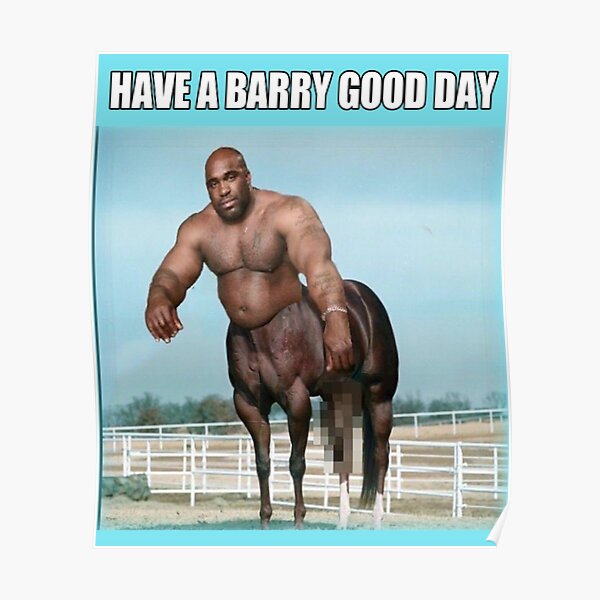 Poster « Barry wood bobblehead PBS meme meme noir équipé », par ...