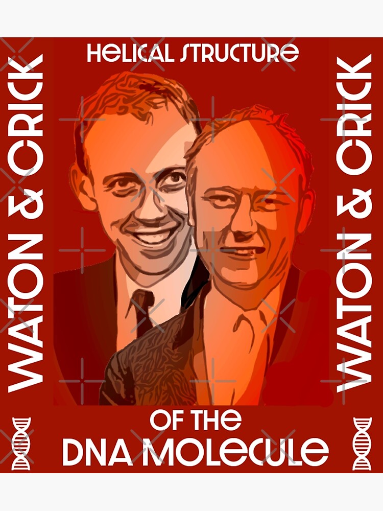 "DNA Helical Structure Watson And Crick - DNA Heroes - Innovators - DNA ...
