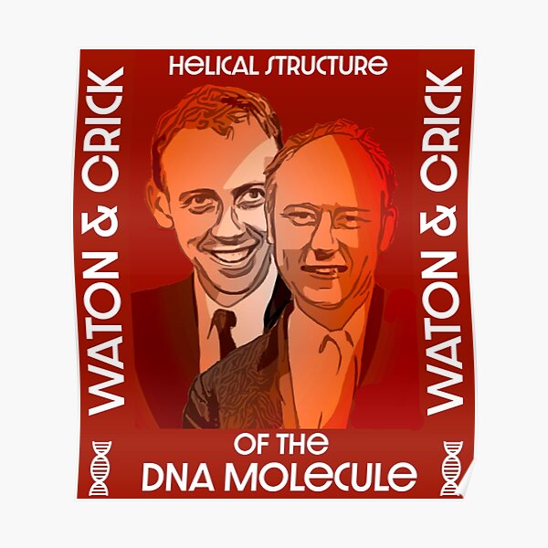 "DNA Helical Structure Watson And Crick - DNA Heroes - Innovators - DNA ...