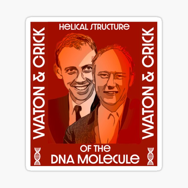 "James Watson And Francis Crick DNA - DNA Heroes - Innovators - DNA ...