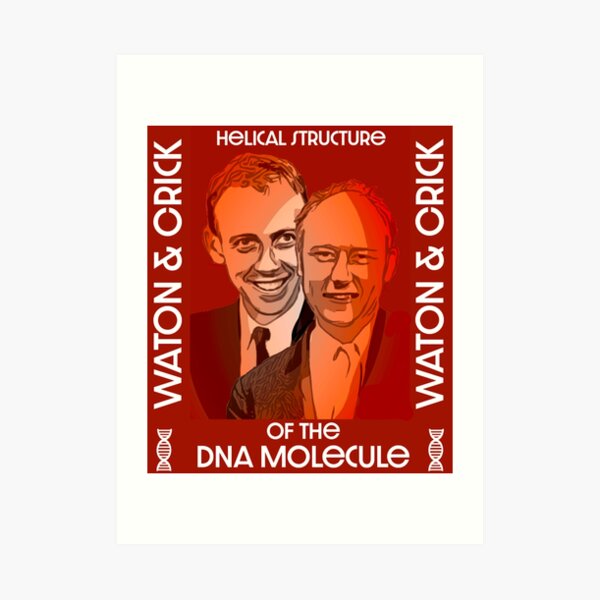 Lámina artística «Estructura helicoidal del ADN Watson y Crick - Héroes ...