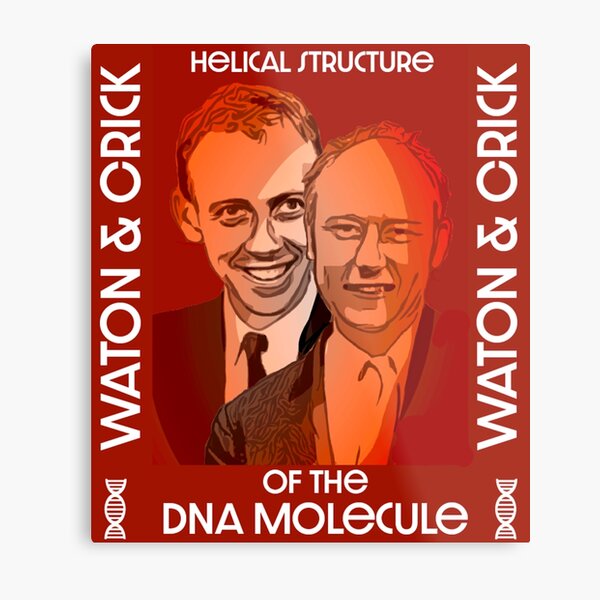Lámina metálica «Estructura helicoidal del ADN Watson y Crick - Héroes ...