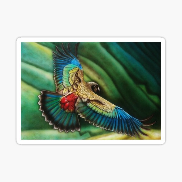 "Kea in Flight - Colorful - Parrot - Painting" Sticker for Sale by ...
