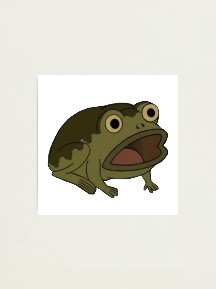 "Cartoon frog meme" Photographic Print for Sale by AtruChanqwq | Redbubble