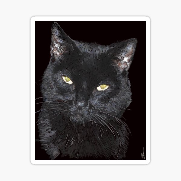 "Midnight Black Cat, Phoebi Girl" Sticker by Zimmerdb | Redbubble