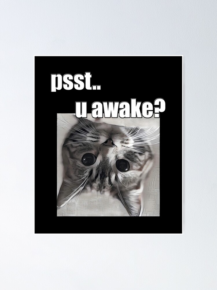 "Psst.. U Awake? Cat Meme" Poster for Sale by tuffkitty | Redbubble