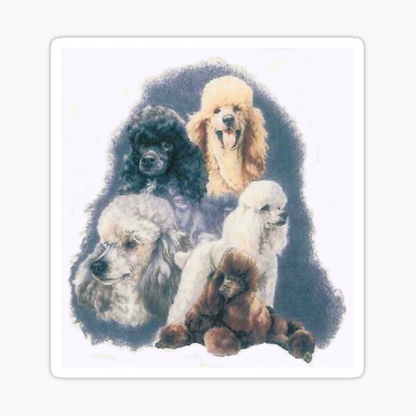 "Poodle Grouping" Sticker by BarbBarcikKeith | Redbubble