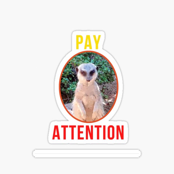 "Meerkat Pay Attention" Sticker for Sale by Rdubb | Redbubble