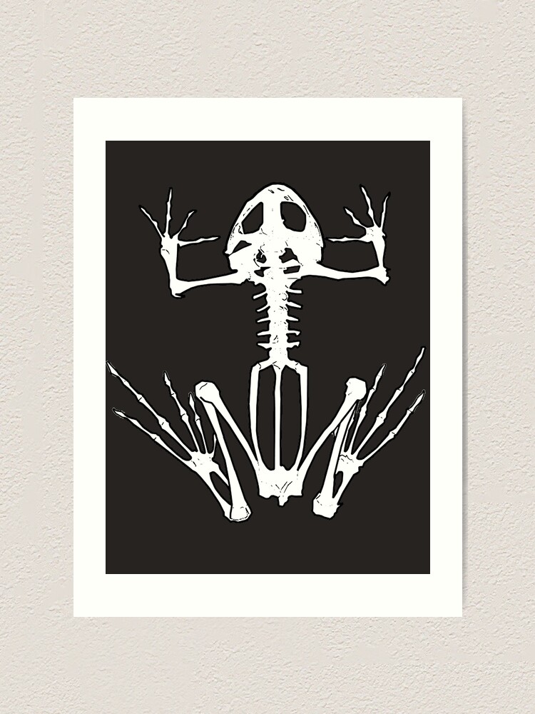 "Frog Skeleton" Art Print by klarapie | Redbubble