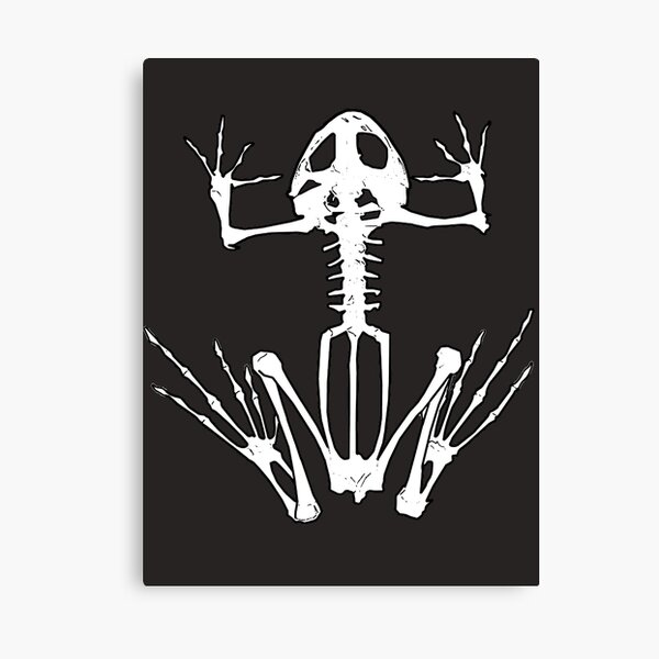 "Frog Skeleton" Canvas Print for Sale by klarapie | Redbubble