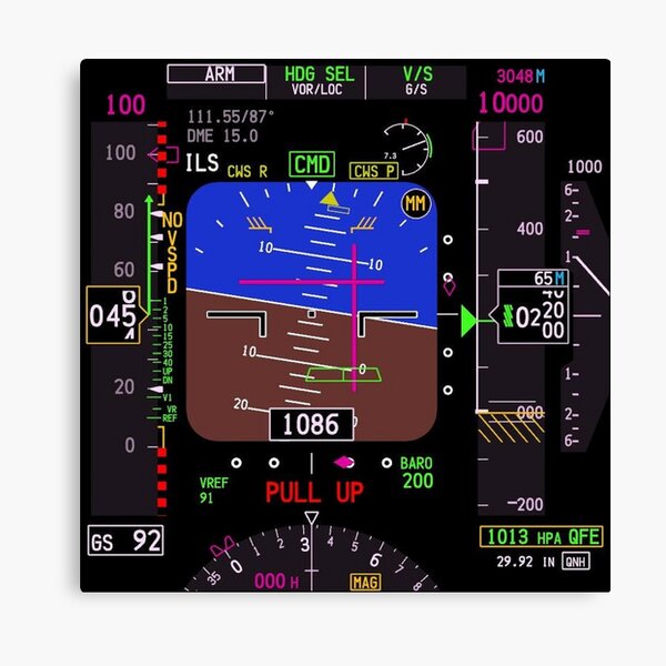 "Boeing 737NG PFD" Canvas Print for Sale by Ljubomir Cvijovic | Redbubble