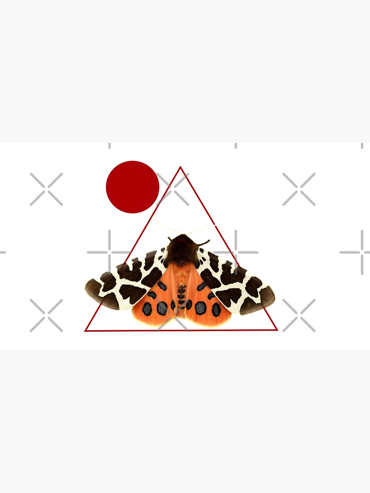 "Garden tiger moth the moth costume moth design cute insect Biology ...