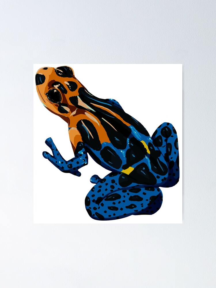 "Poison Dart Frog" Poster for Sale by samanthaeva2 | Redbubble