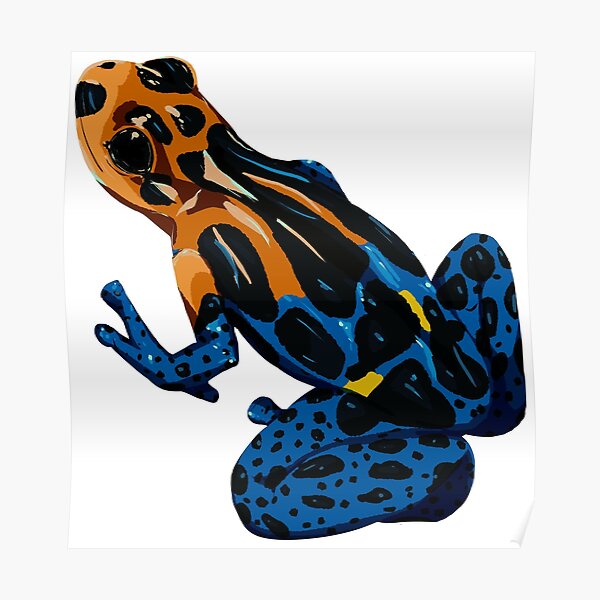 "Poison Dart Frog" Poster for Sale by samanthaeva2 | Redbubble
