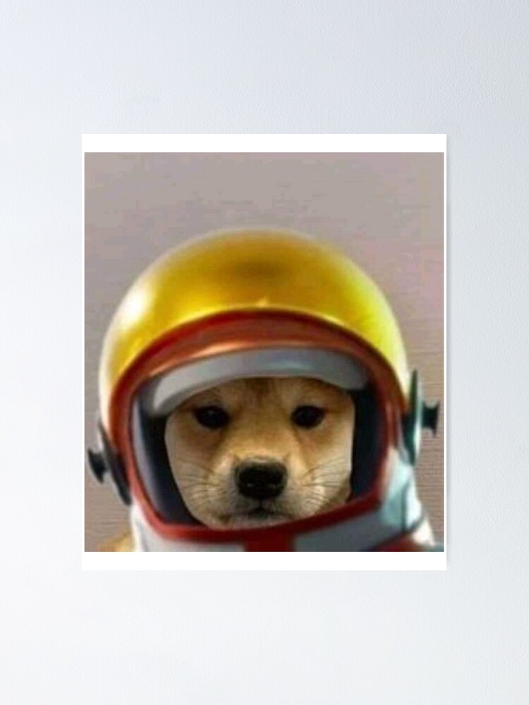 "Smiling dog beluga discord new" Poster for Sale by Jradamall | Redbubble