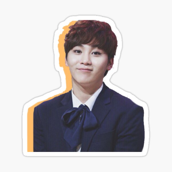 "Seventeen Seungkwan Sticker" Sticker by Lilyniki | Redbubble