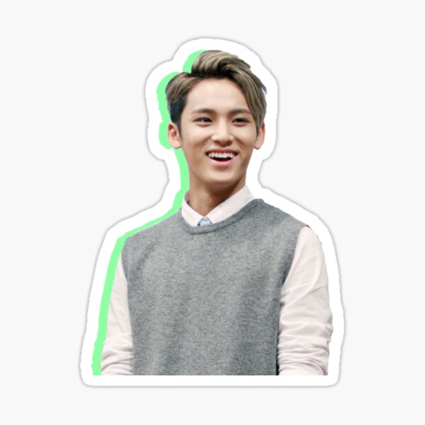 "Seventeen Mingyu" Sticker by Lilyniki | Redbubble