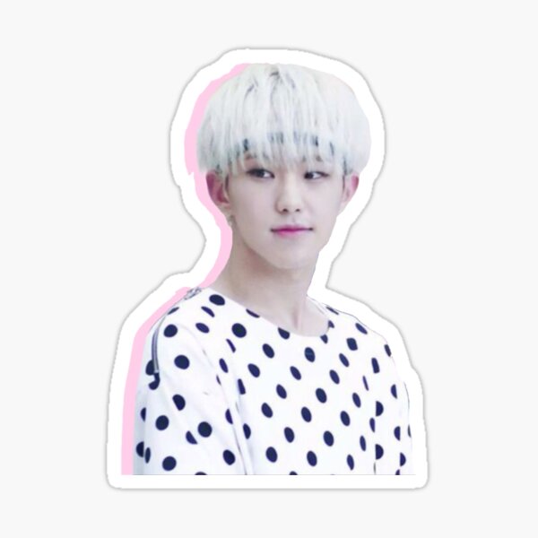 "Seventeen Hoshi Sticker" Sticker by Lilyniki | Redbubble