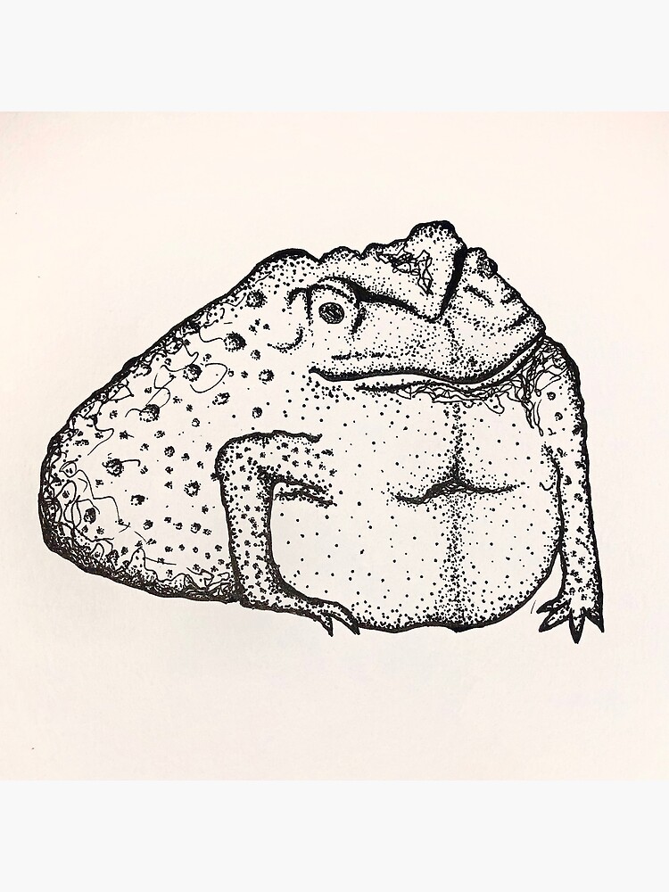 "Grumpy Toad " Poster for Sale by Solsticealfie | Redbubble