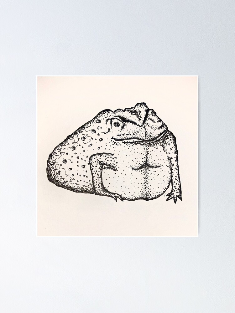 "Grumpy Toad " Poster for Sale by Solsticealfie | Redbubble