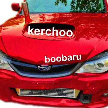 "kerchoo boobaru" Sticker for Sale by nickpaddywack | Redbubble