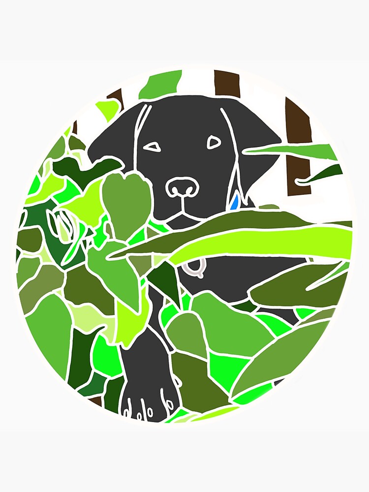 "Quincy " Sticker for Sale by branstetter-liv | Redbubble