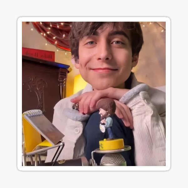 "aidan gallagher" Sticker for Sale by shelalu | Redbubble