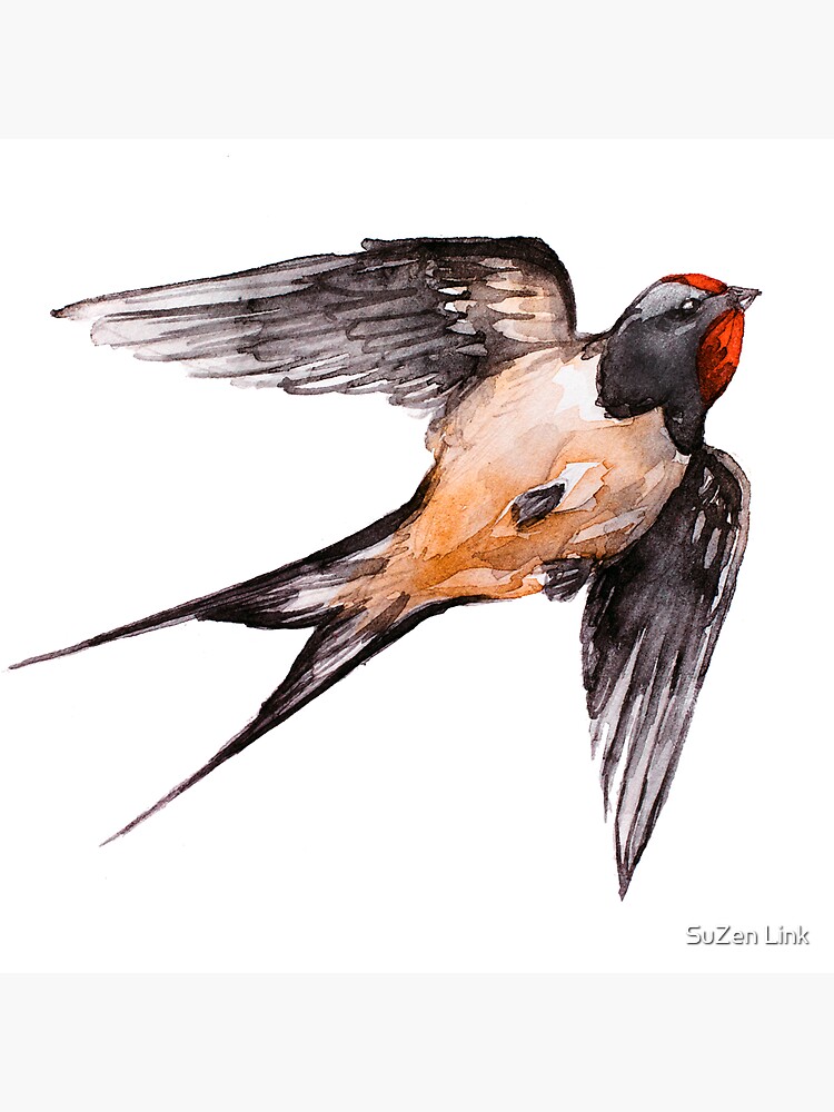 "Barn Swallow Bird" Sticker for Sale by link2sue | Redbubble