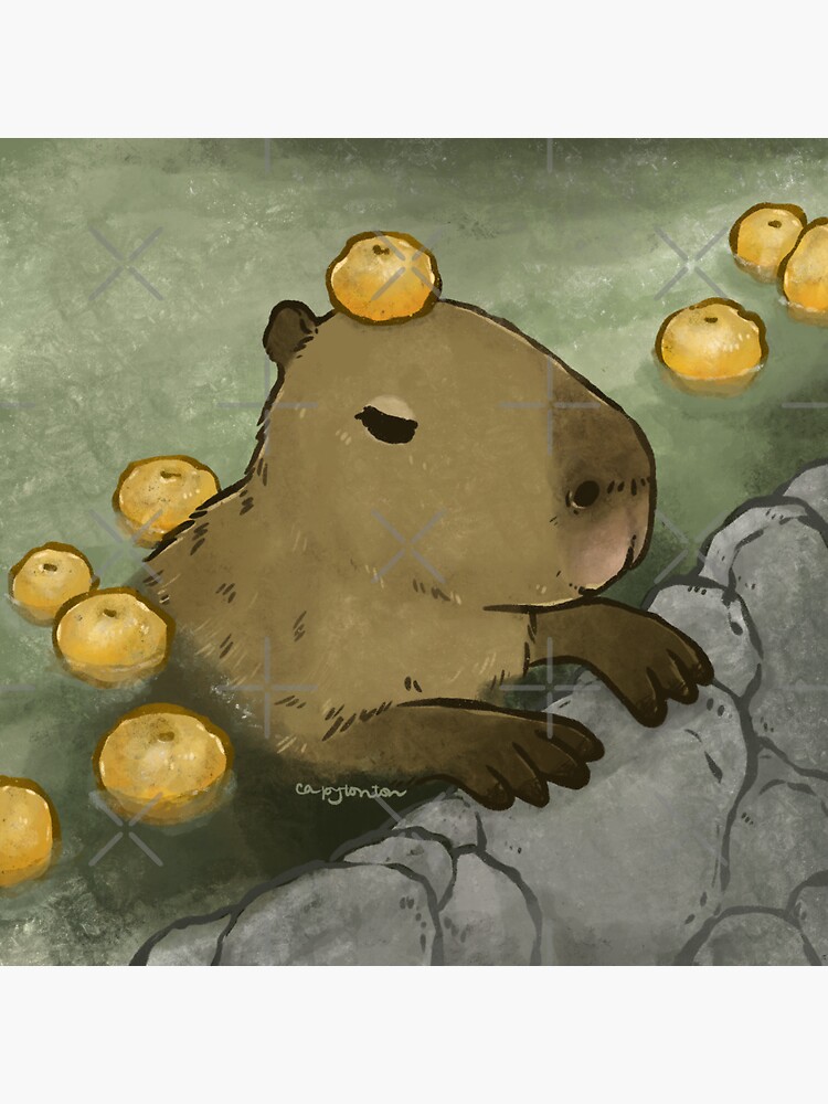 "Capybara yuzu bathing" Sticker for Sale by nnggoc | Redbubble