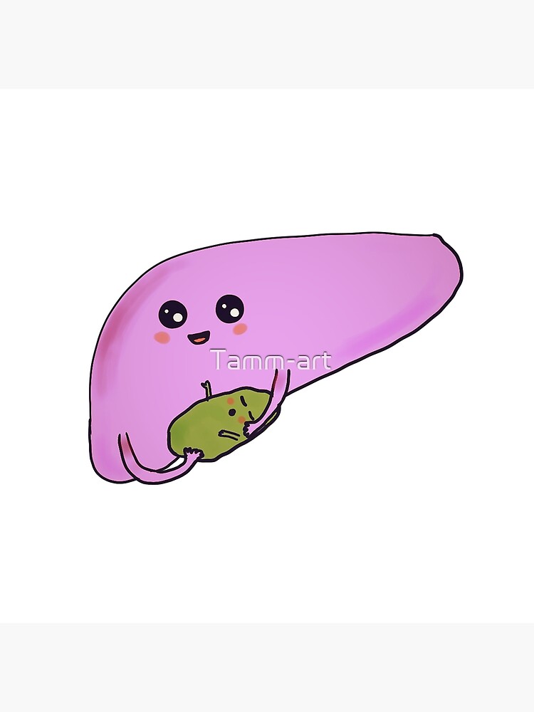 "Cute liver and gallbladder " Poster by Tamm-art | Redbubble